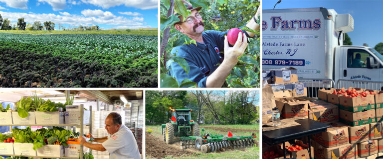 About Us | Alstede Farms | NJ