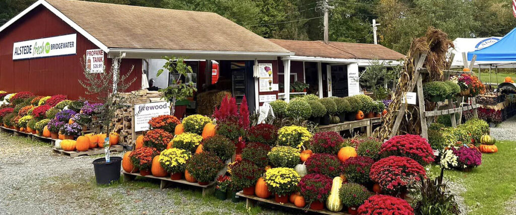 Alstede Fresh Farm Stand - Bridgewater NJ | Alstede Farms | NJ