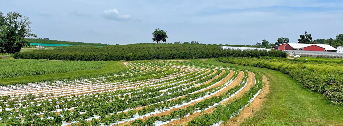 Visit the Farm | Alstede Farms | NJ