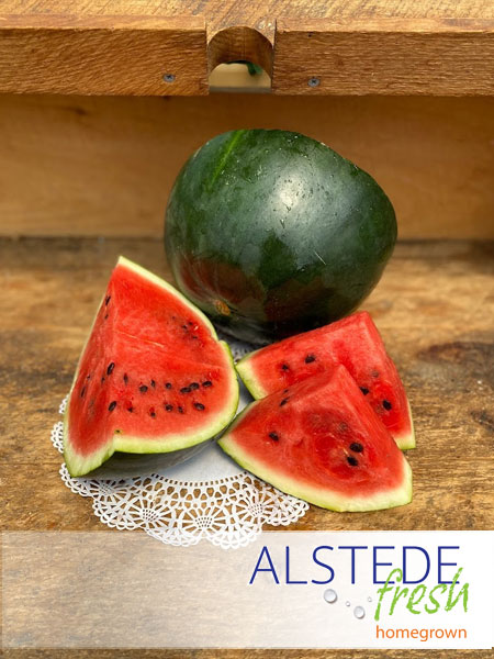 Alstede Fresh Watermelon - Sugar Baby | Alstede Farms | NJ