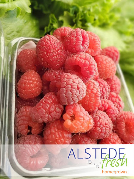Alstede Fresh Organic Raspberries (Per 1/2 Pint) – Alstede Farms