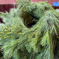 Christmas Trees and Holiday Wreaths | Alstede Farms | NJ