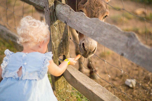 Children's Activities | Alstede Farms | NJ