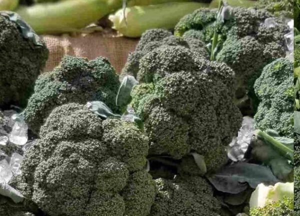 Easy 10 Minute Pan-Seared Broccoli – Alstede Farms