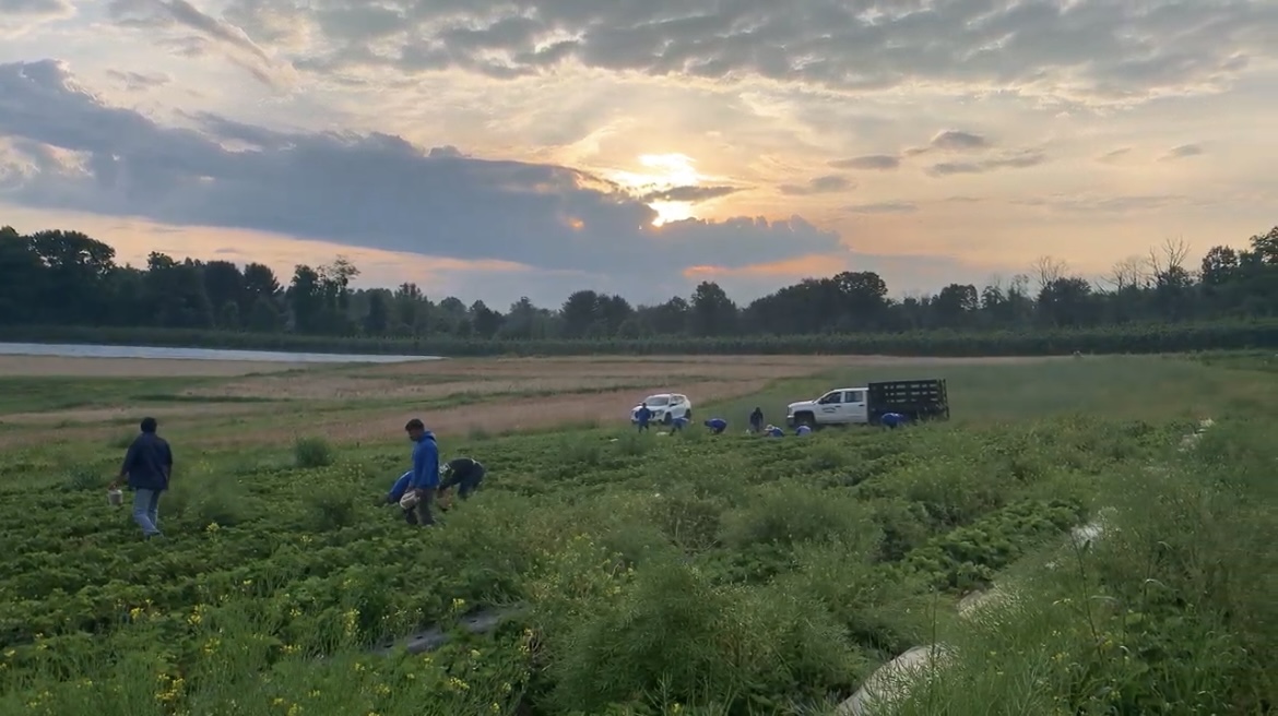 Hometown Farm & Global Reach: A World of Traditions, People, and Food ...